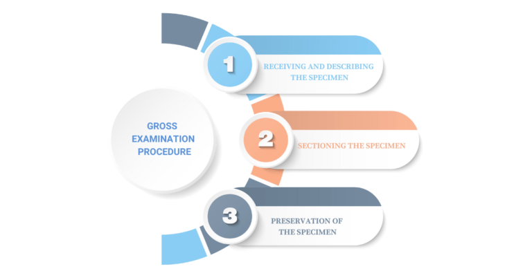 Gross Pathology: An In-depth Overview – ORNet